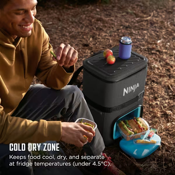 Ninja FrostVault Go 23 litre 36-can Backpack Soft Cooler - Charcoal Gr ...
